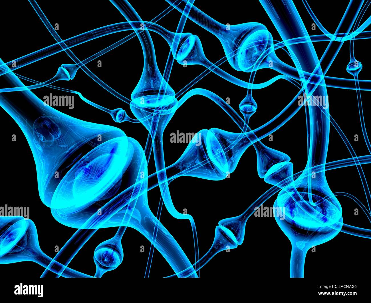Synapses. Computer artwork of synapses, the junction between nerve ...