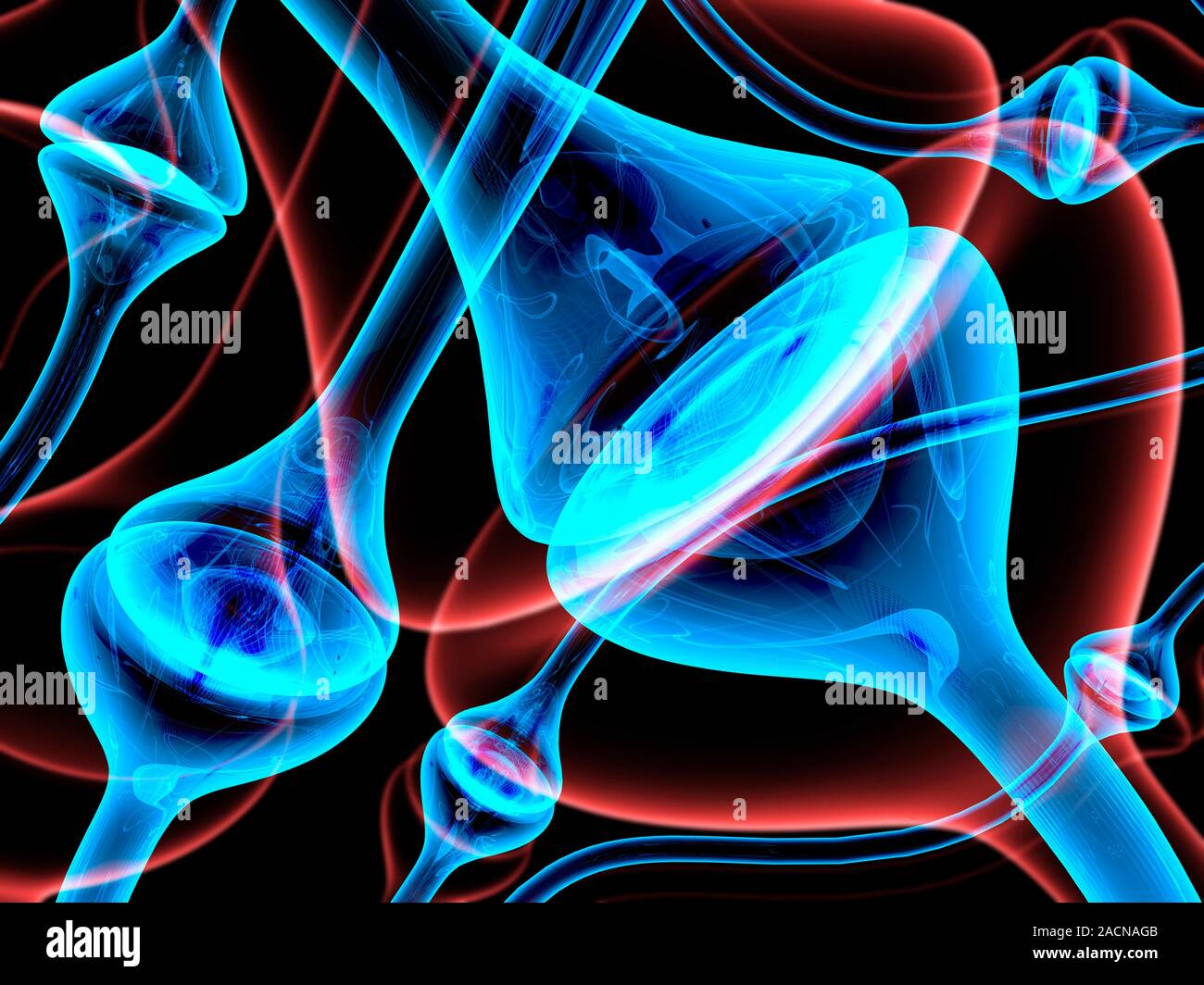 Synapses. Computer artwork of synapses, the junction between nerve ...