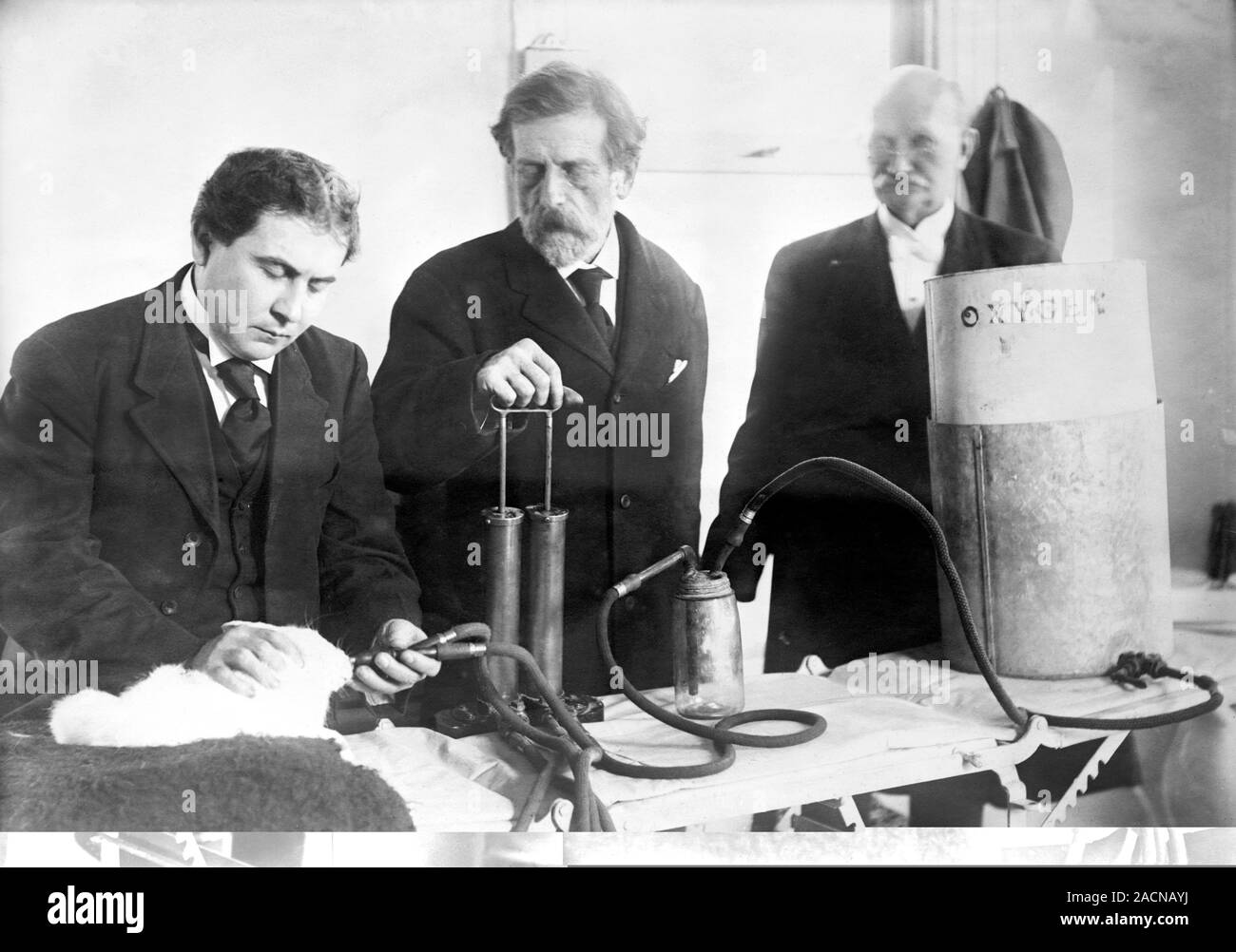 Poe ventilation experiment. Rabbit being kept alive using a mechanical ...