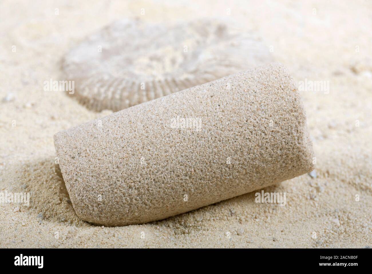Bacterially hardened sand. Sample of sand that has been formed into ...