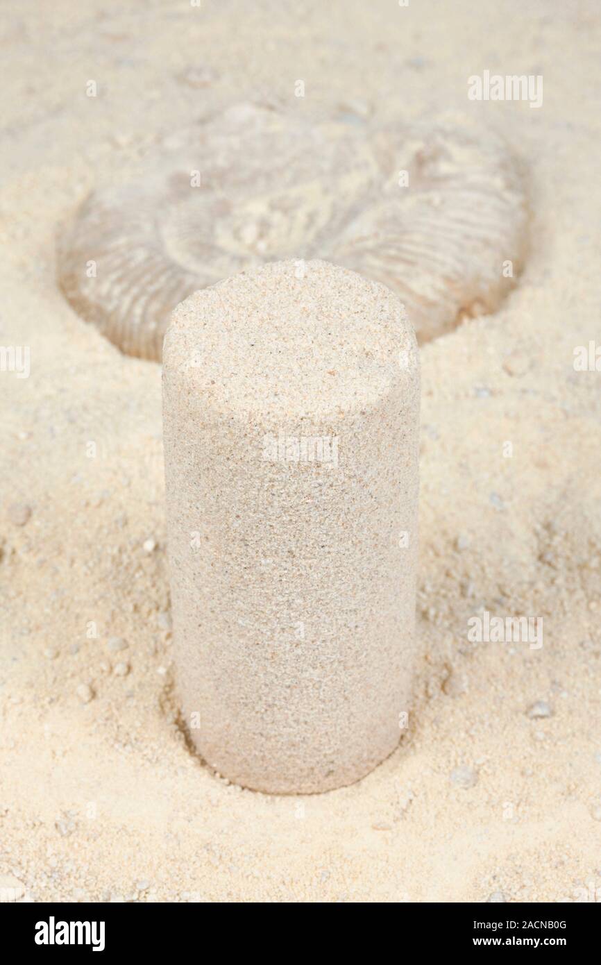 Bacterially hardened sand. Sample of sand that has been formed into ...