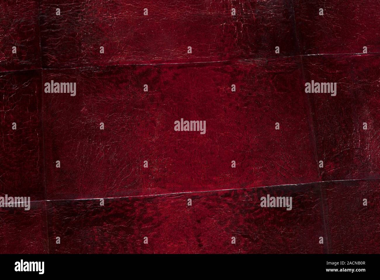 Bullfrog skin leather. Close-up of leather formed from the skin of a ...