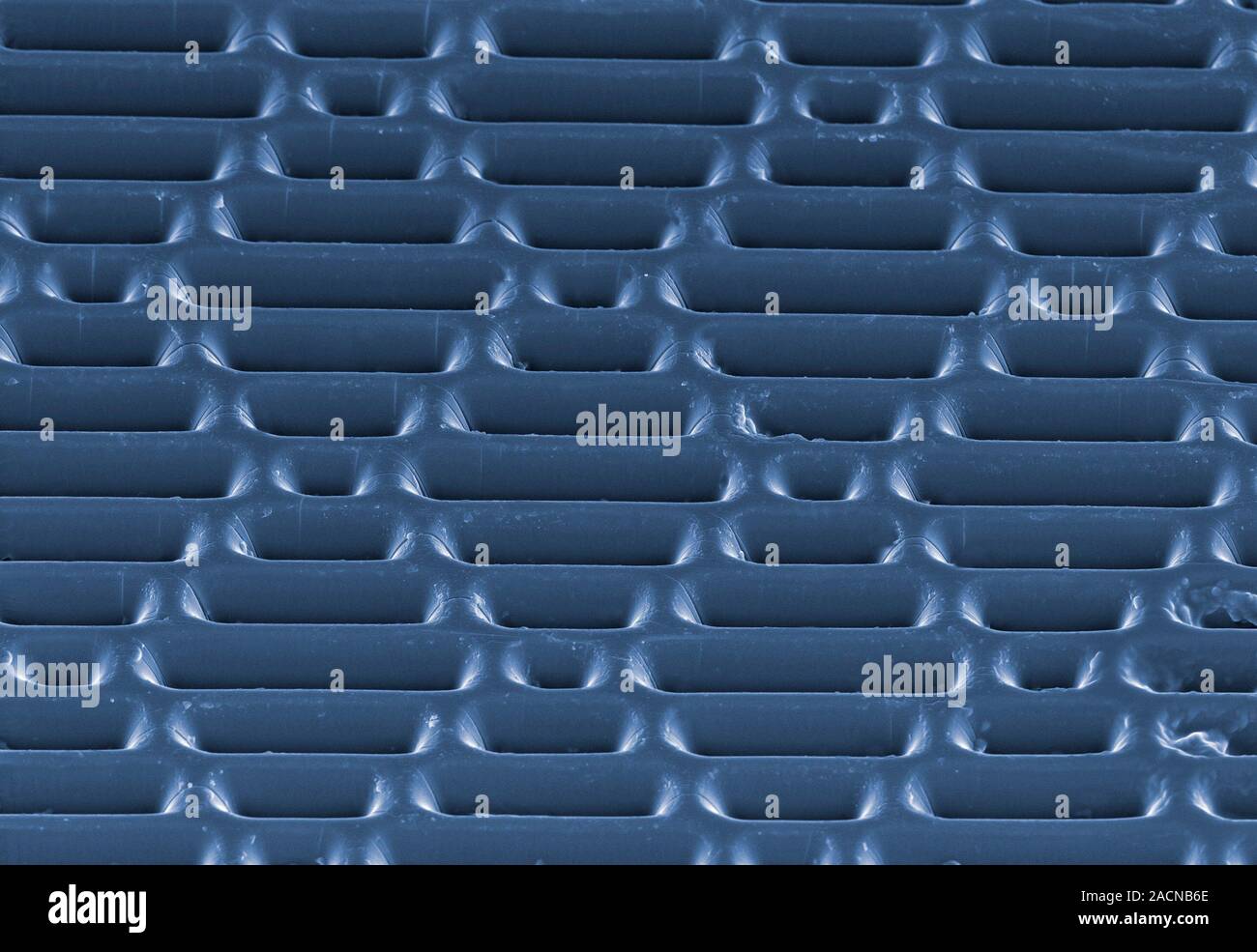 Shark-skin-inspired antibacterial surface. Scanning electron micrograph ...