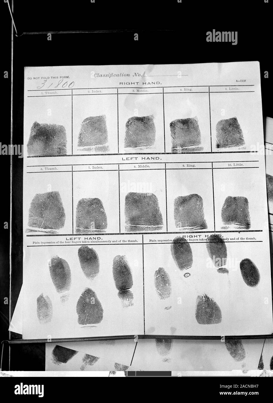 Fingerprints record, early 20th century. The ridges on the skin of ...