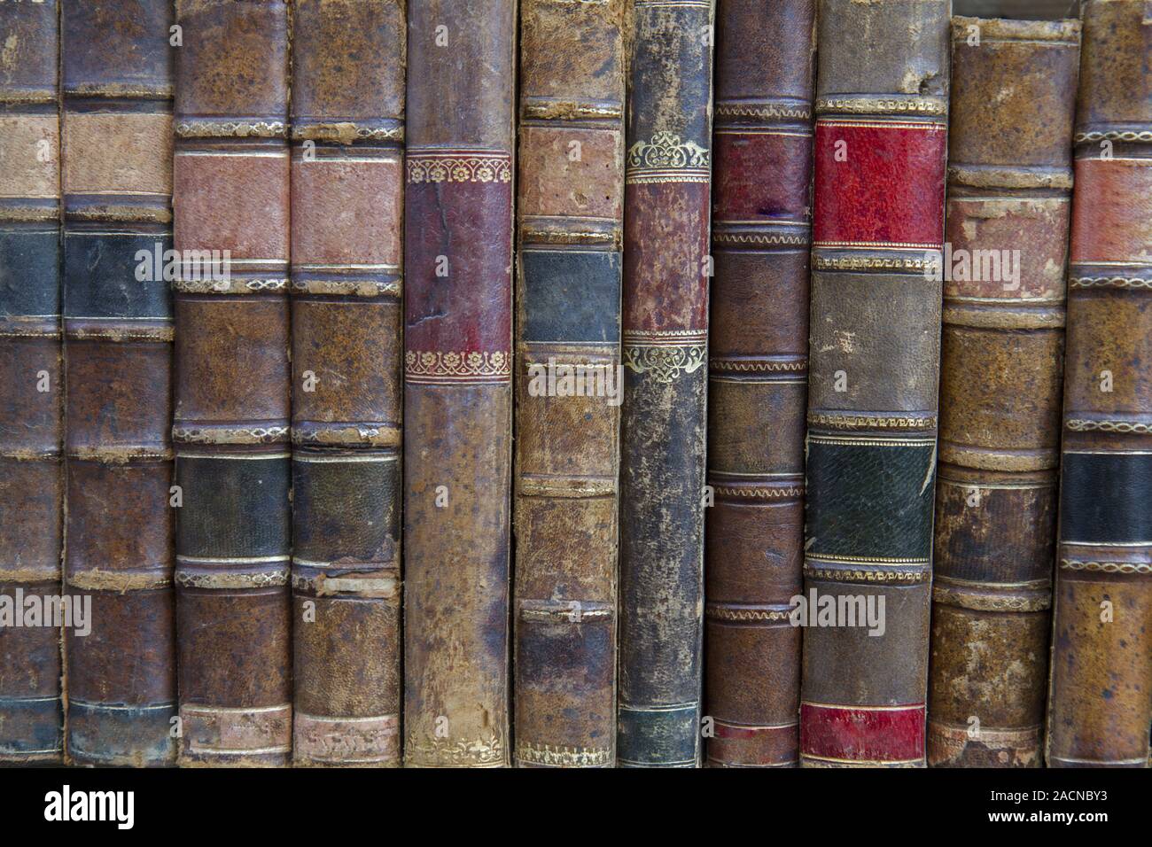 Antiquarian bookstore studying hi-res stock photography and images - Alamy