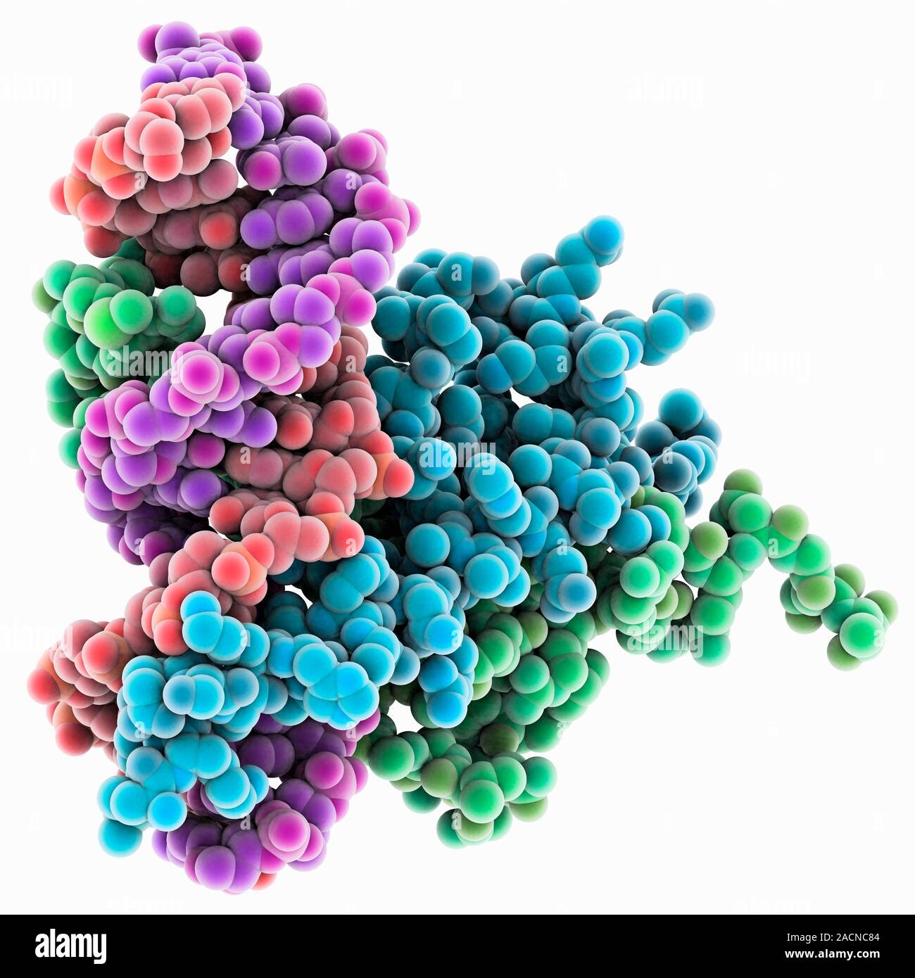 Pho4 transcription factor bound to DNA. Molecular model showing ...