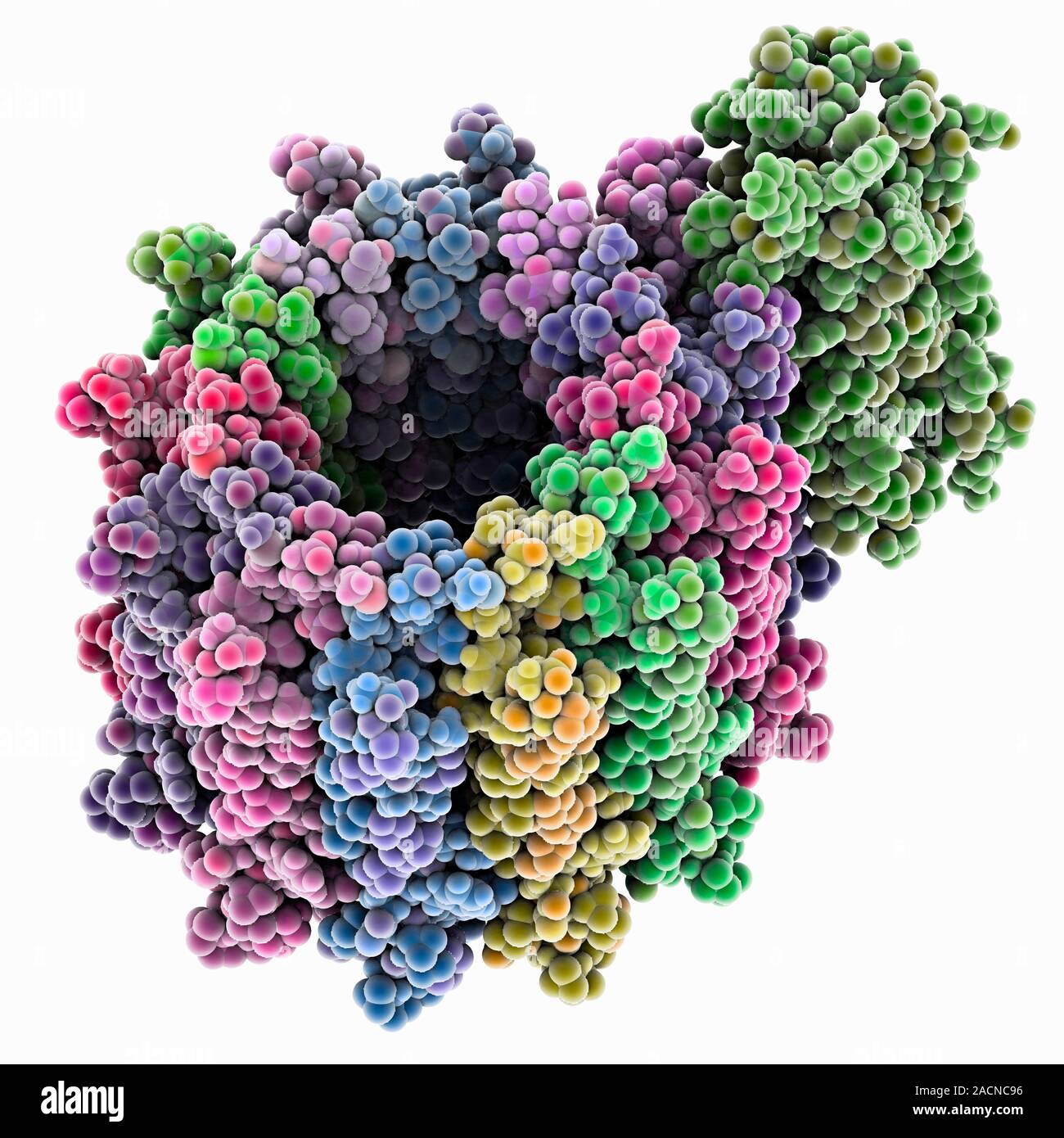 Atp Synthase Molecule Molecular Model Showing The Structure Of Atp Synthase Atpase Subunit C
