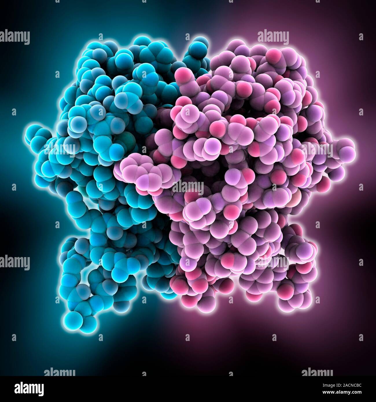 Hiv Enzyme Protein Computer Model Showing The Structure Of The