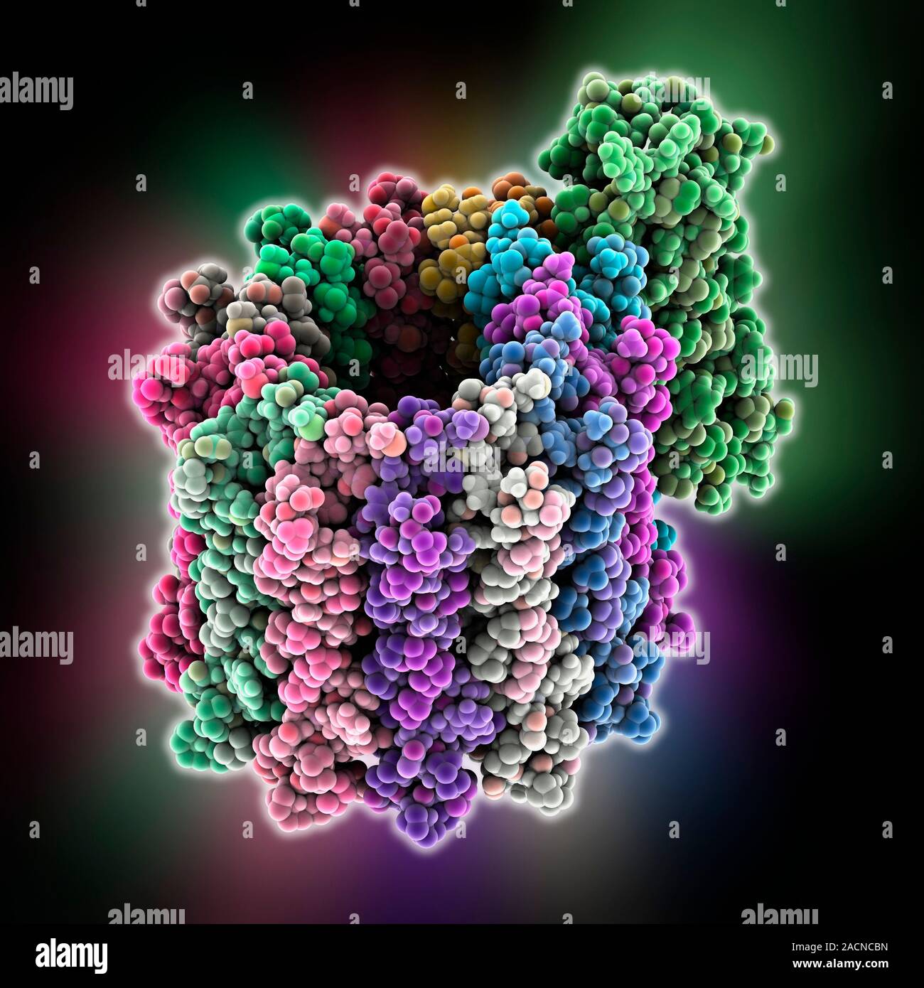 Atp Synthase Molecule Molecular Model Showing The Structure Of Atp Synthase Atpase Subunit C