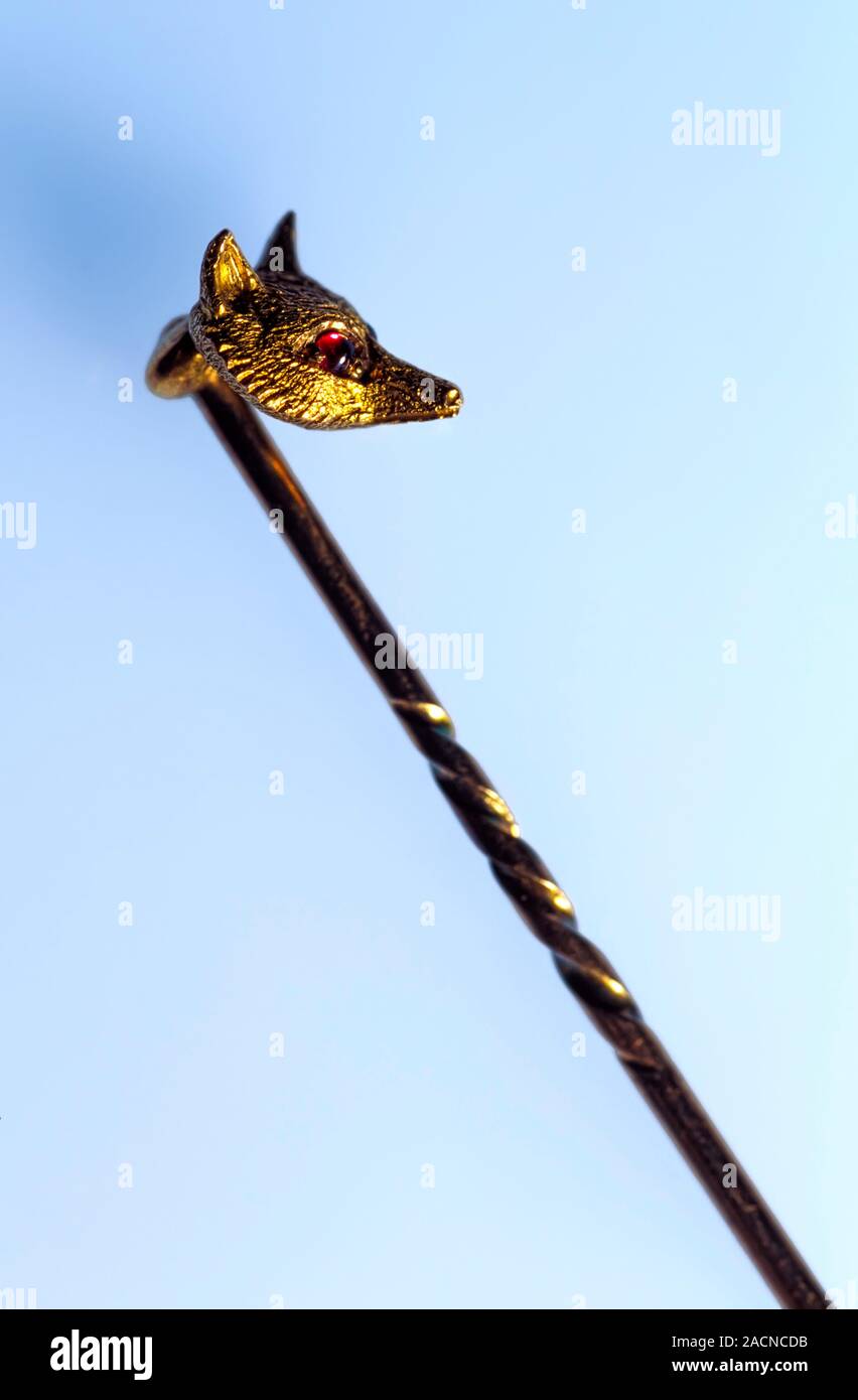 Tie clip recovered from the RMS Titanic. The Titanic was the largest ...