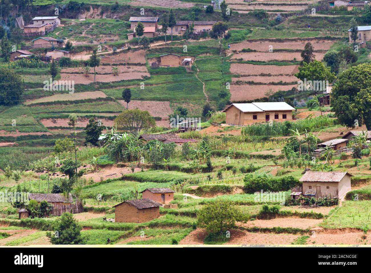 Rwandan farming. View over fields and houses near Kigali, Rwanda Stock ...