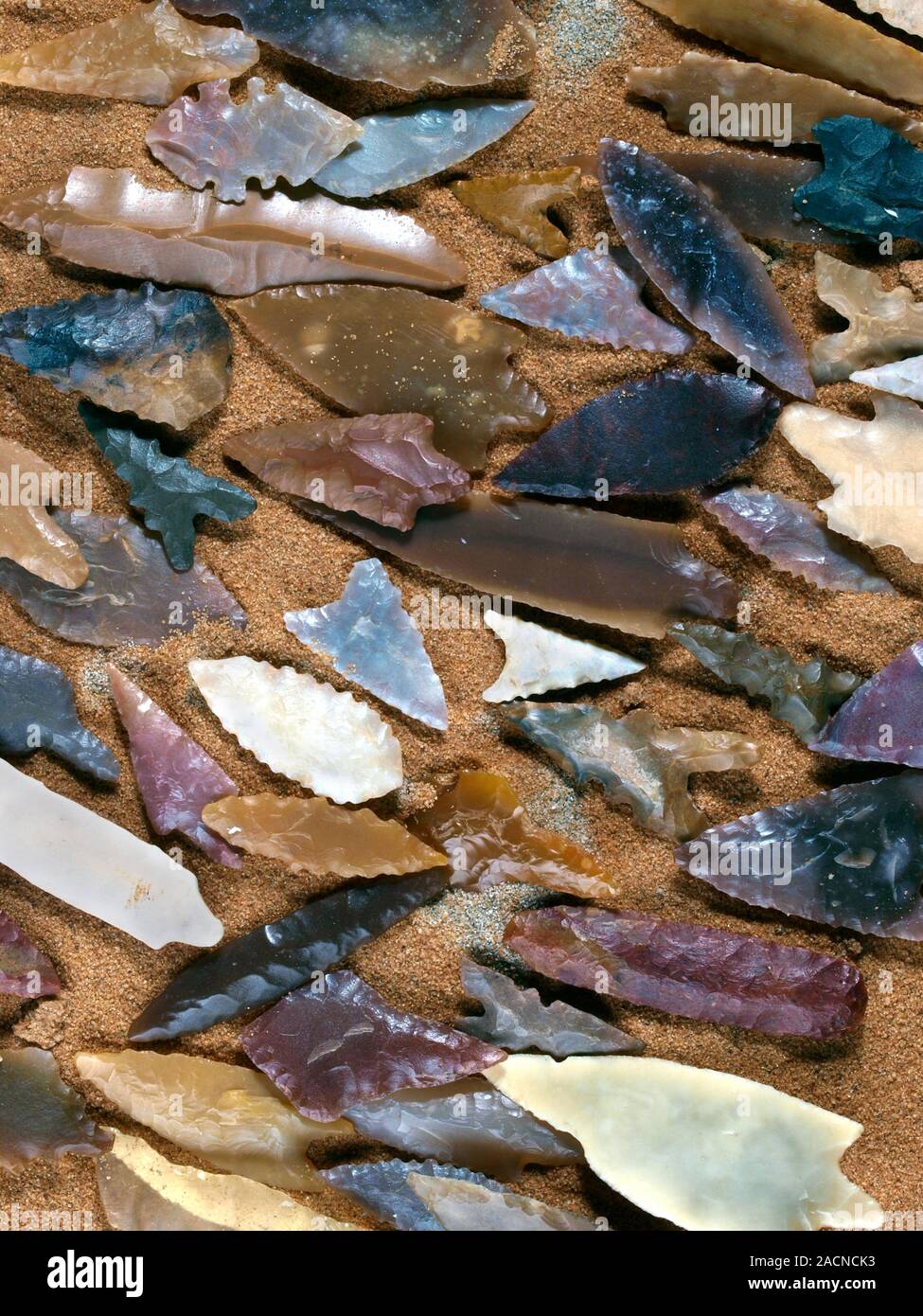 Neolithic flint arrowheads. Stone-age flint arrowheads dating from ...