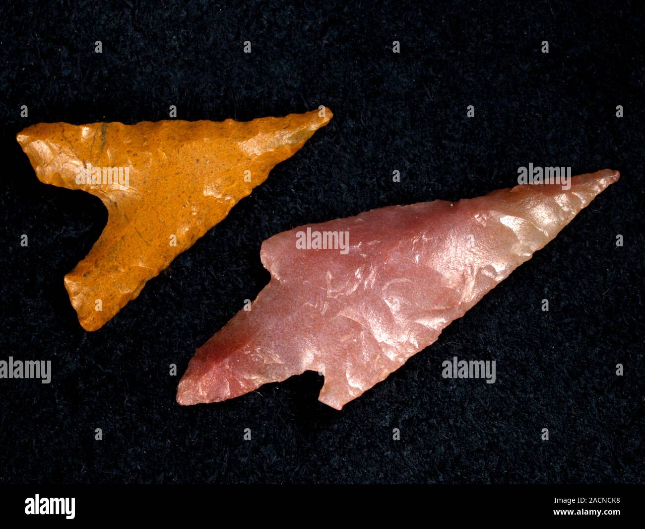Neolithic flint arrowheads. Stone-age flint arrowheads dating from around 8,000 to 10,000 years ...