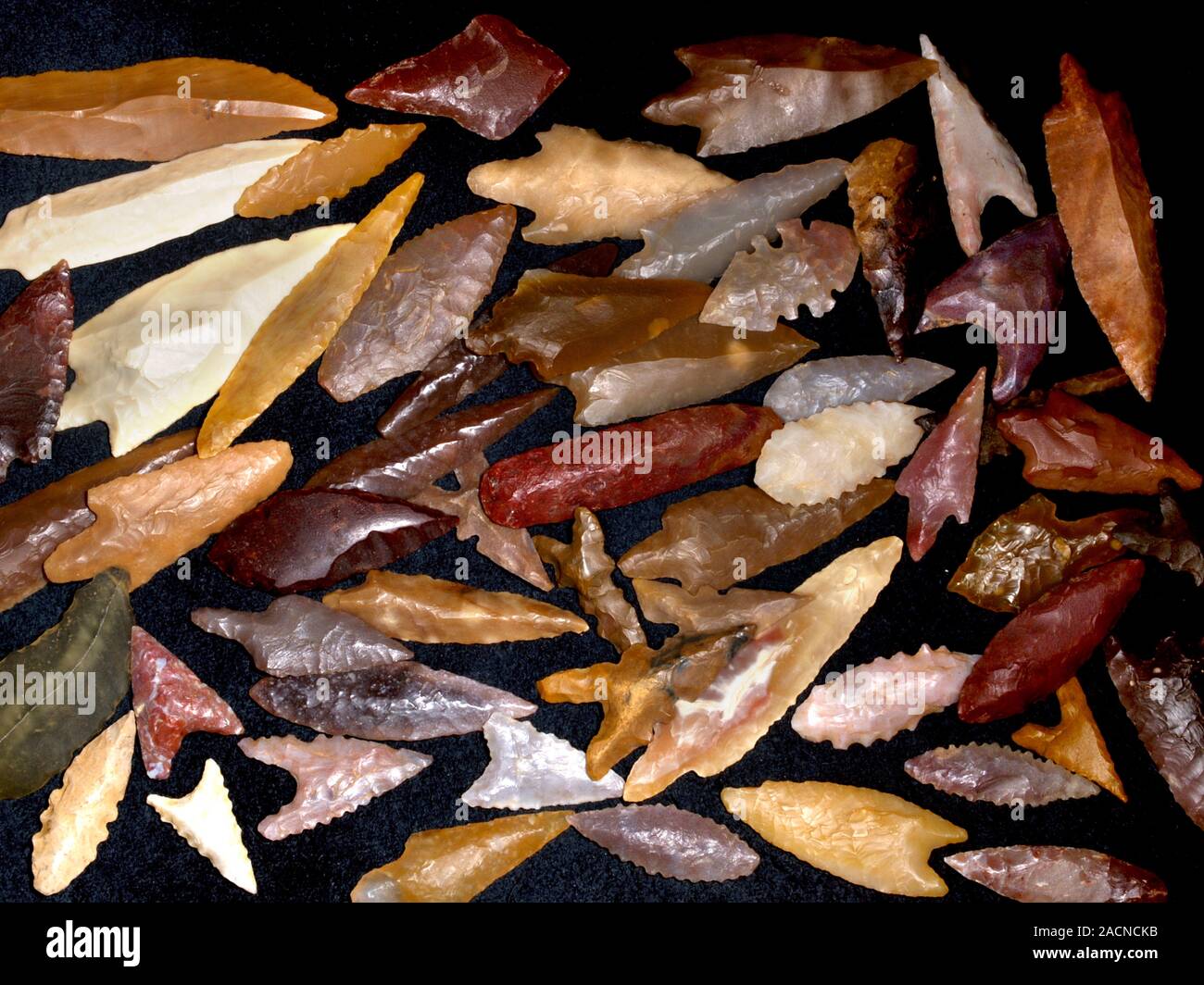 Neolithic flint arrowheads. Stone-age flint arrowheads dating from around 8,000 to 10,000 years ...