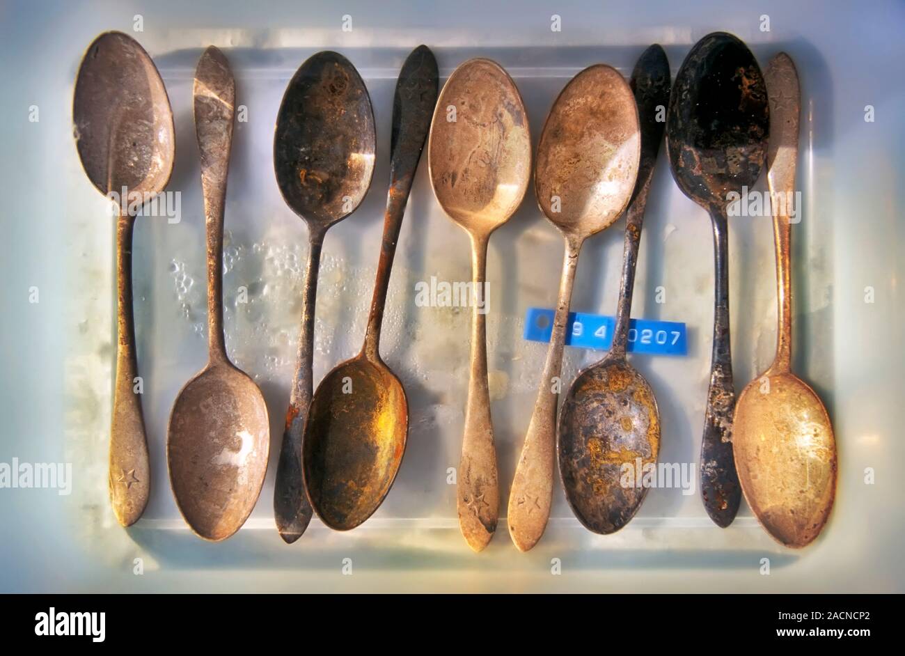 Corroded spoons recovered from the RMS Titanic undergoing desalination ...