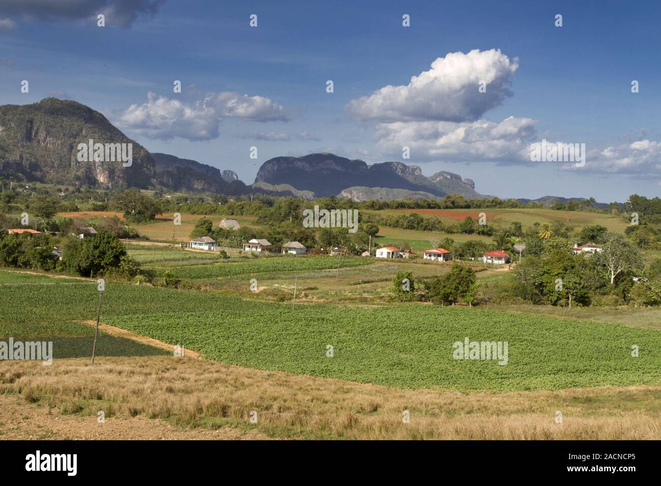 Cuban landscape hi-res stock photography and images - Alamy