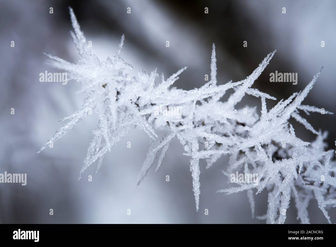 Icy magic hi-res stock photography and images - Alamy