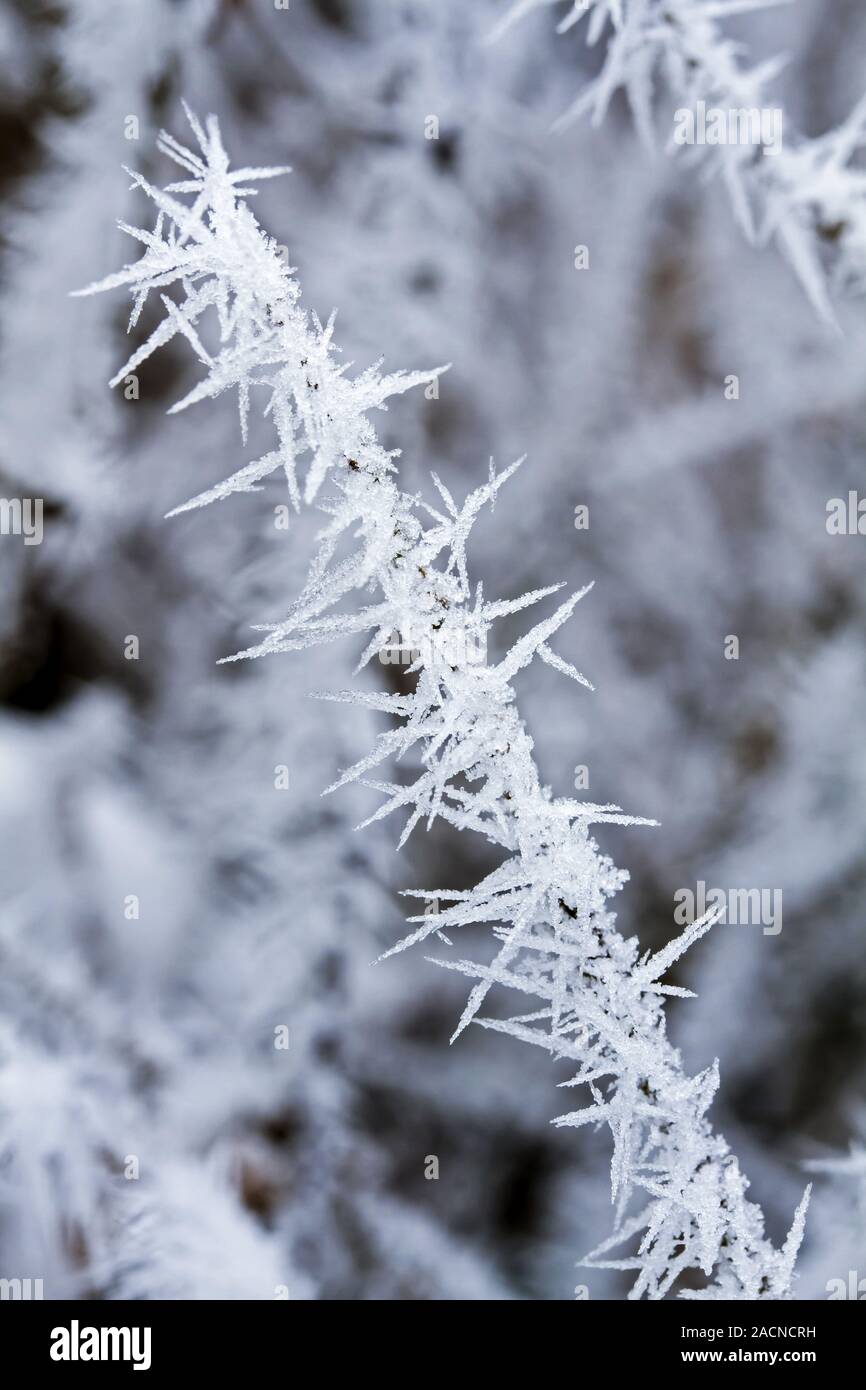 Icy magic hi-res stock photography and images - Alamy