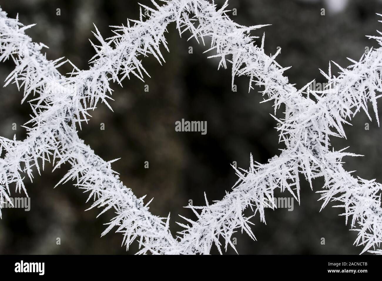 Winter magic at the garden fence Stock Photo - Alamy