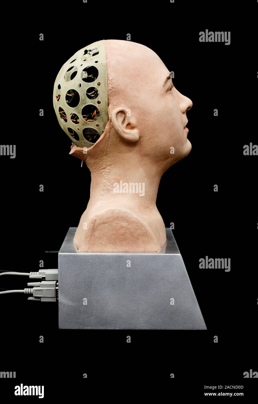 Jules, robot head. Photograph of the side of Jules, an expressive ...