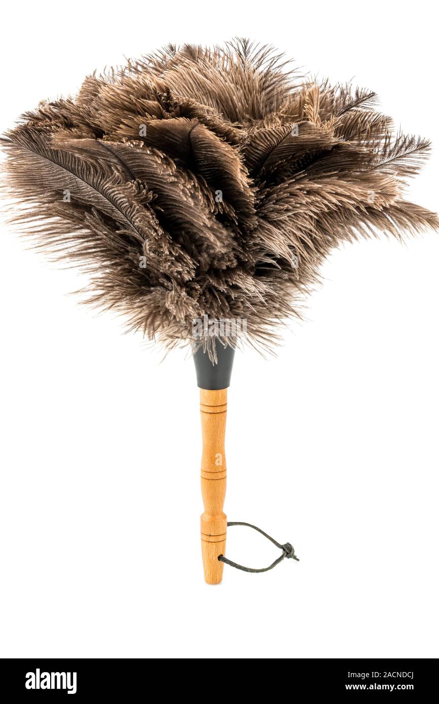 Duster on a white background Stock Photo - Alamy