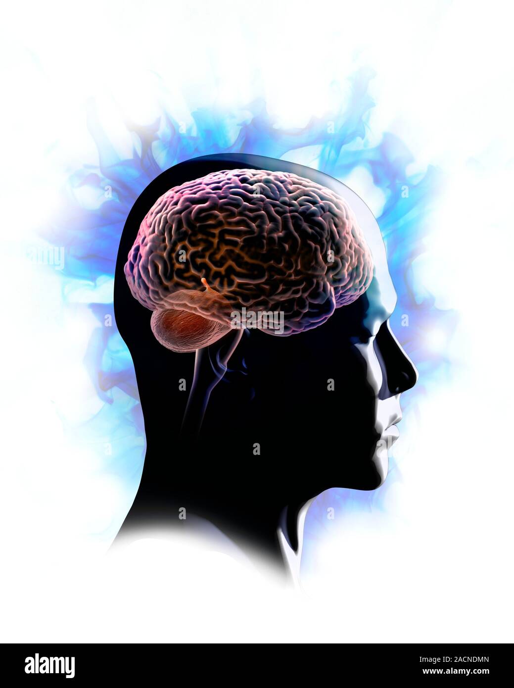 Psychic brain, conceptual image. Artwork showing the human brain and ...