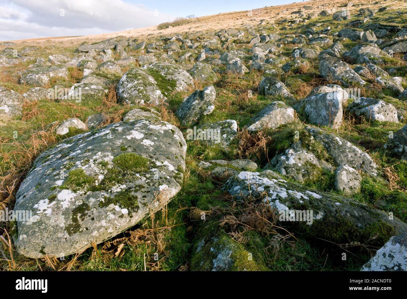 Granite rocks on a hillside. Photographed above the West Okement river ...