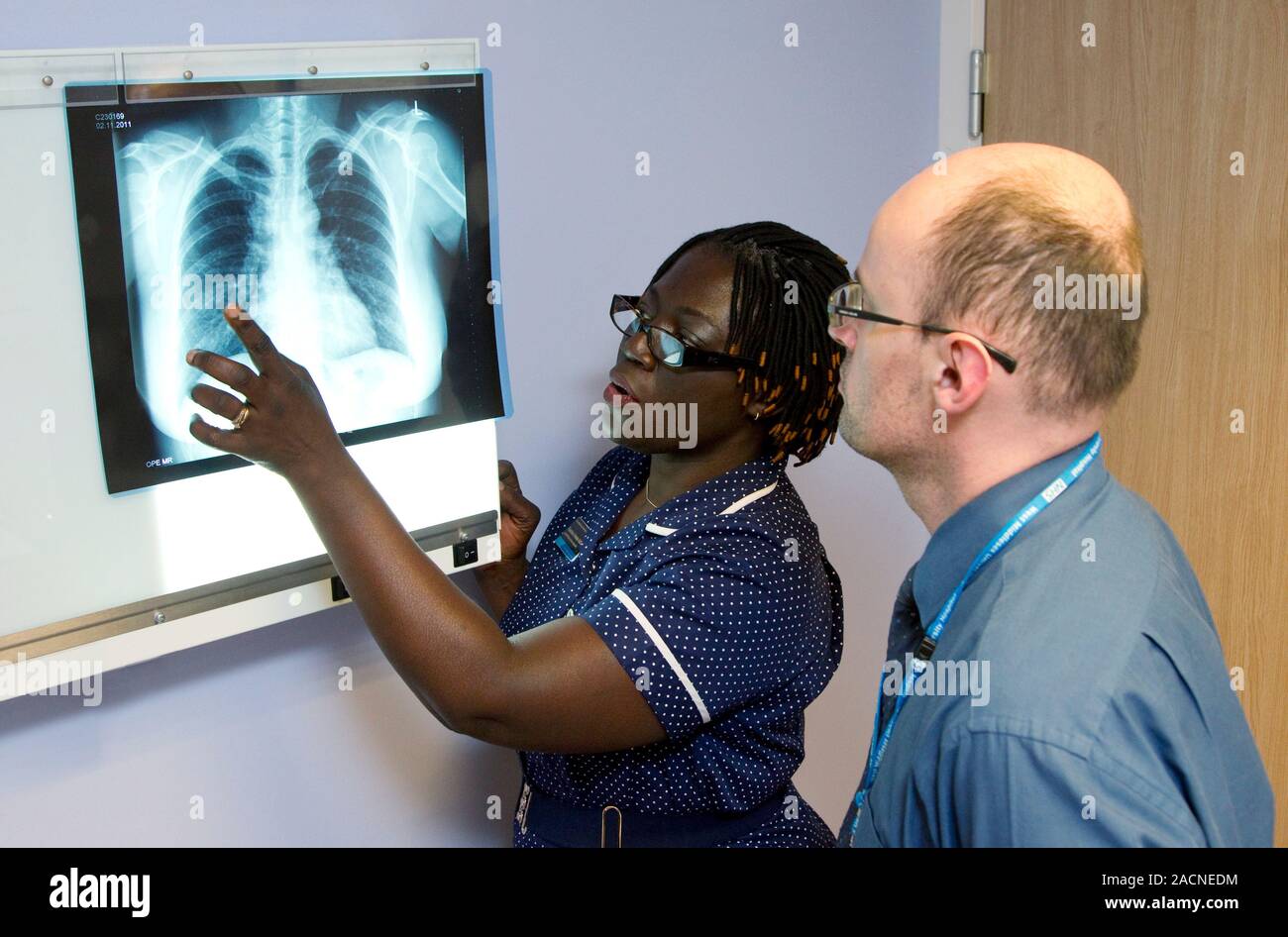 Tuberculosis (TB) X-ray diagnosis. Nurse and doctor examining an X-ray ...