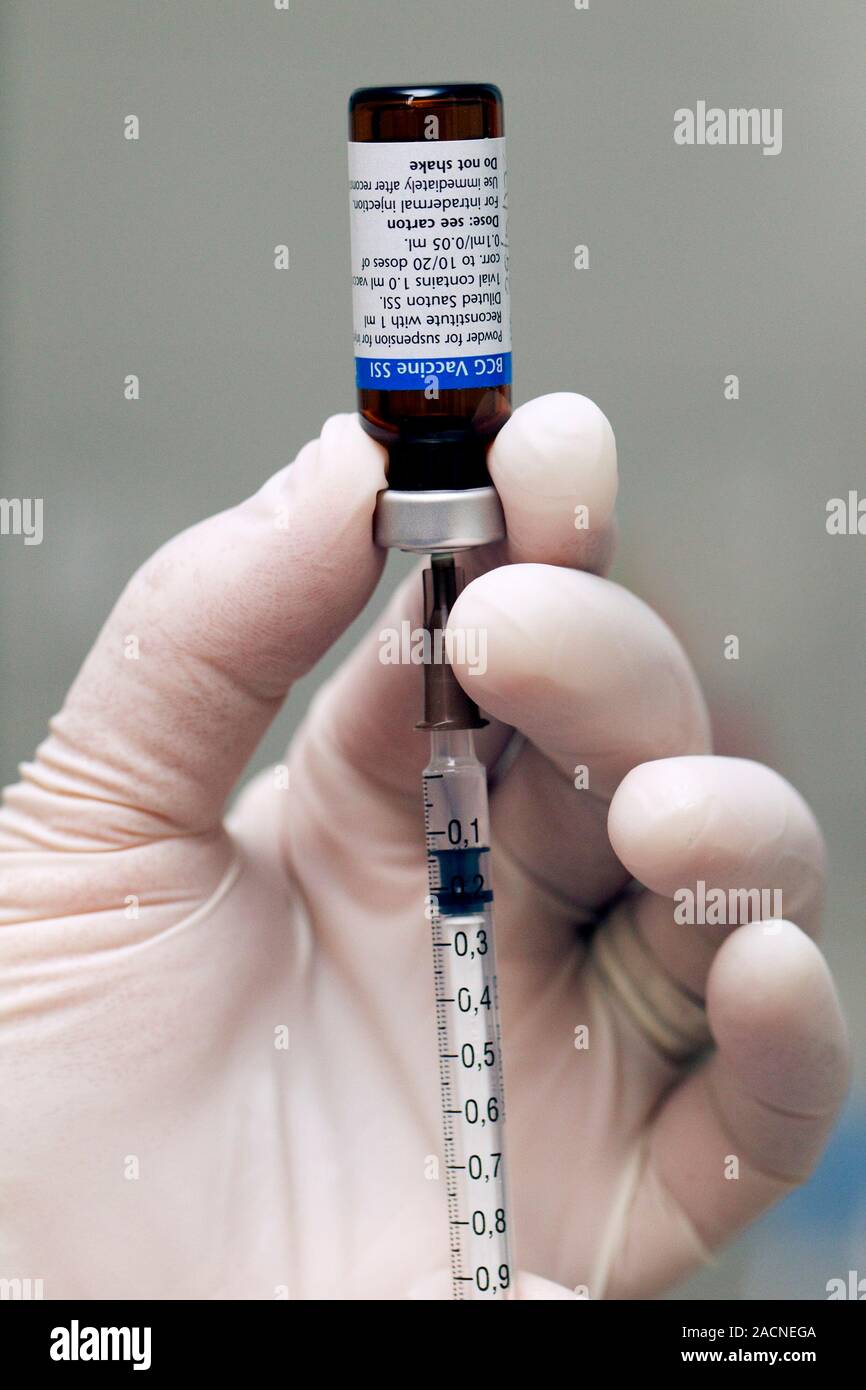 BCG vaccine being prepared for injection with a syringe. BCG (Bacille ...