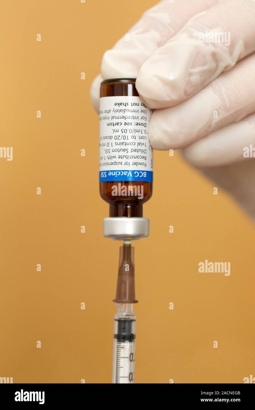 BCG vaccine being prepared for injection with a syringe. BCG (Bacille ...