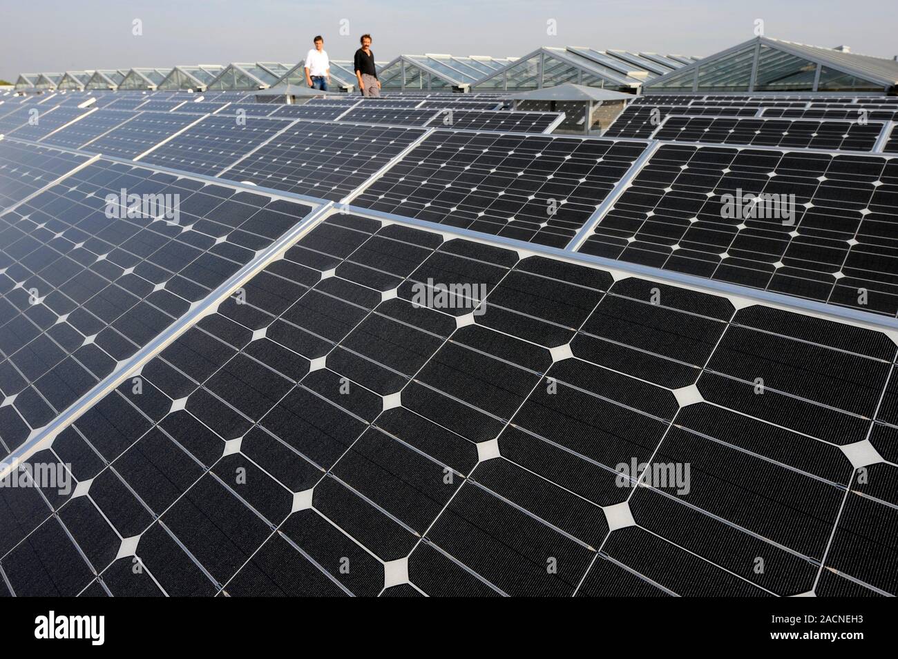 Solar panels. Photovoltaic cell array. Photographed at Lycee Kyoto ...