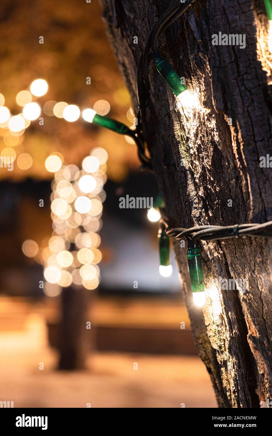 Christmas lights on the street trees Stock Photo - Alamy