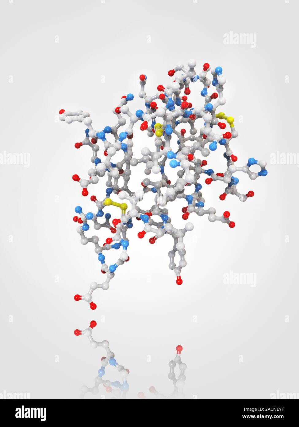 Insulin molecule. Molecular module of insulin showing its primary ...