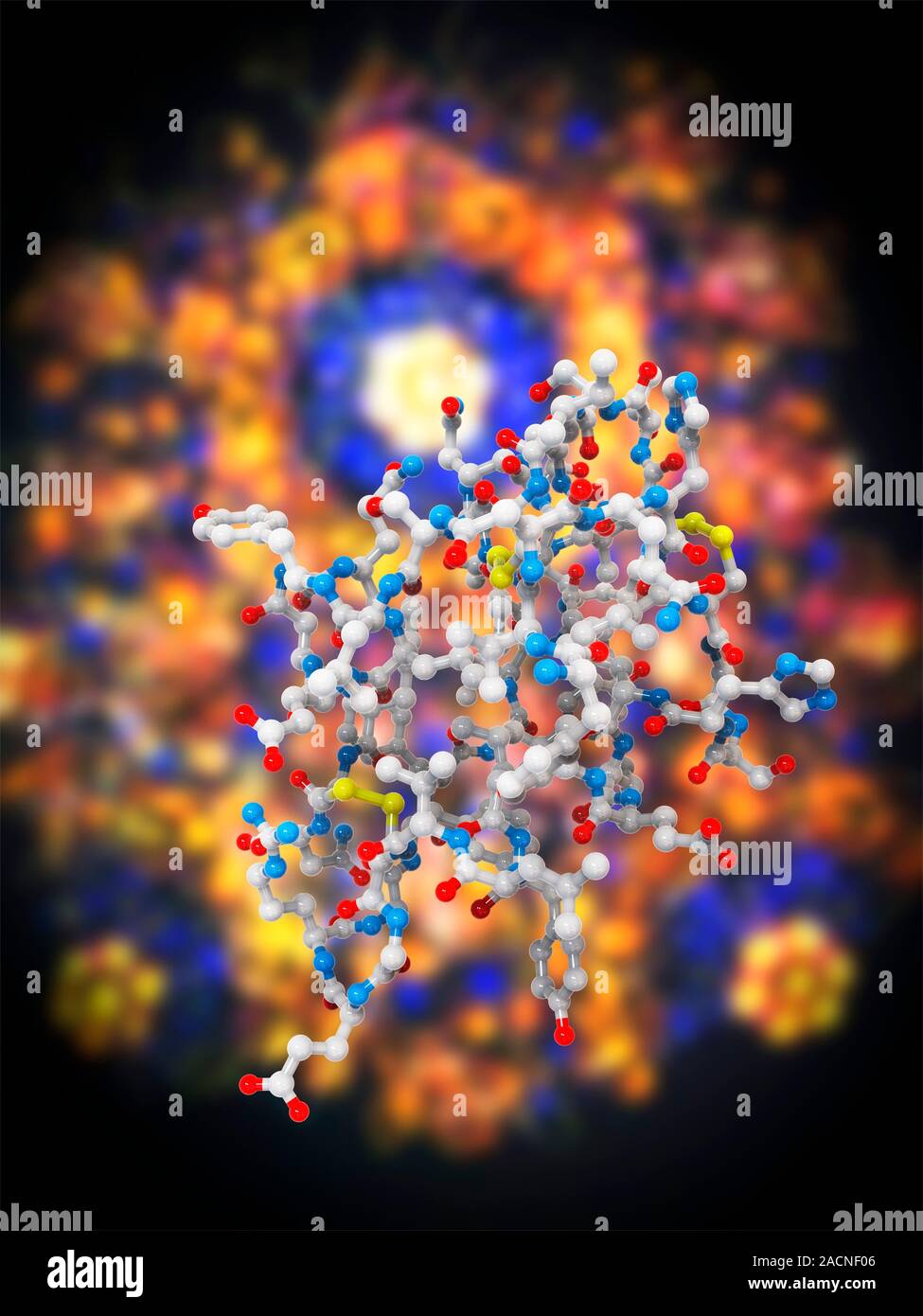 Insulin molecule. Molecular module of insulin showing its primary ...
