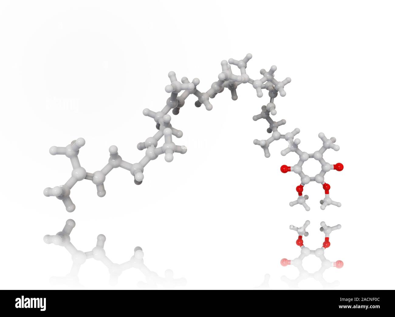 Coenzyme Q10, molecular model. This is the fully oxidised version of ...