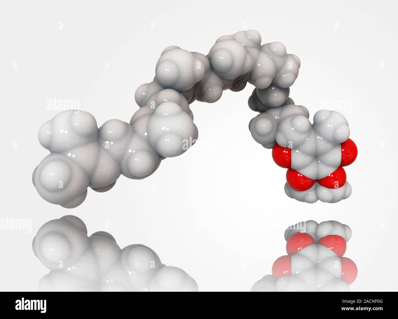 Coenzyme Q10, molecular model. This is the fully oxidised version of ...