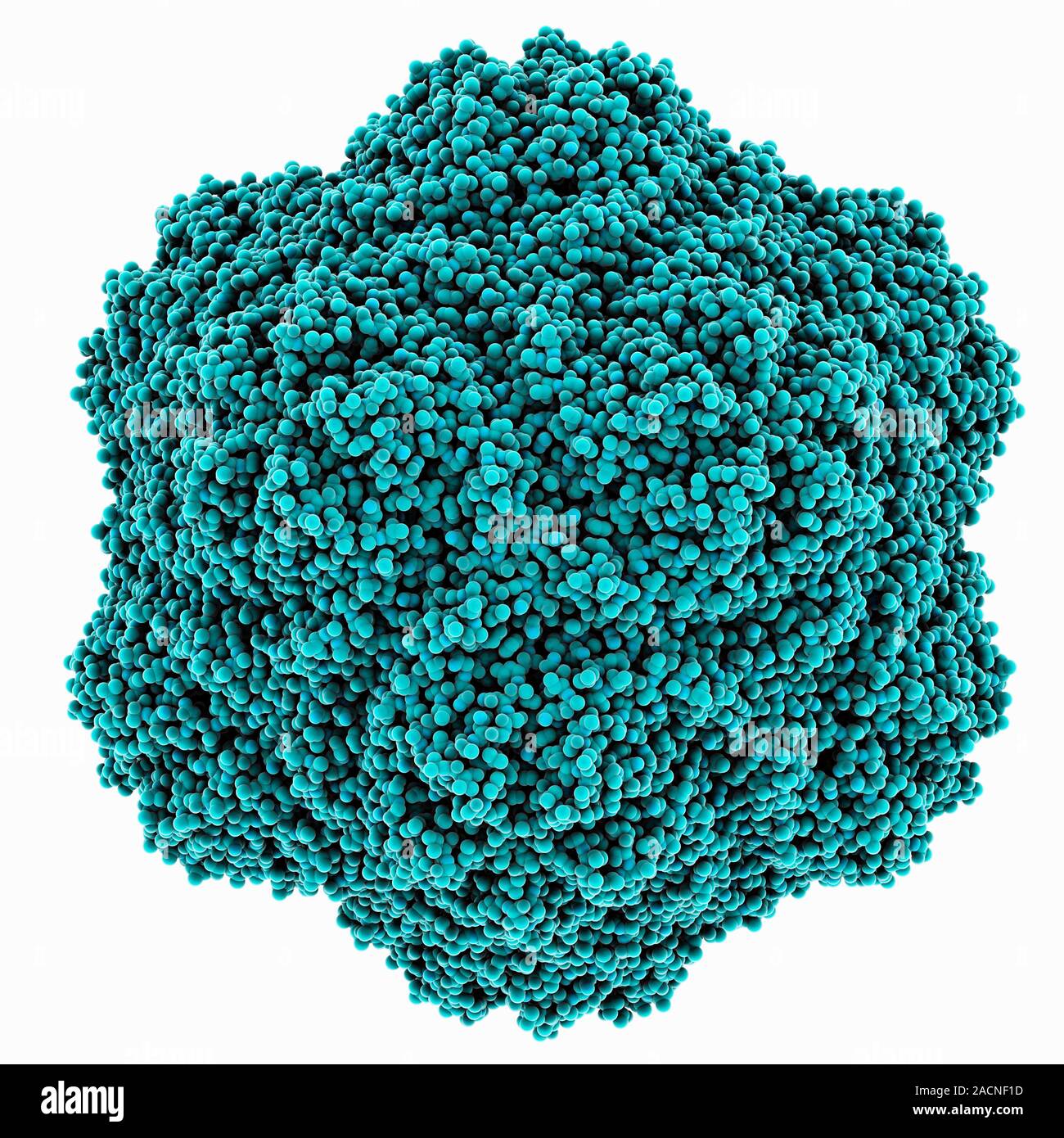 Tobacco necrosis virus capsid, molecular model. This plant virus ...