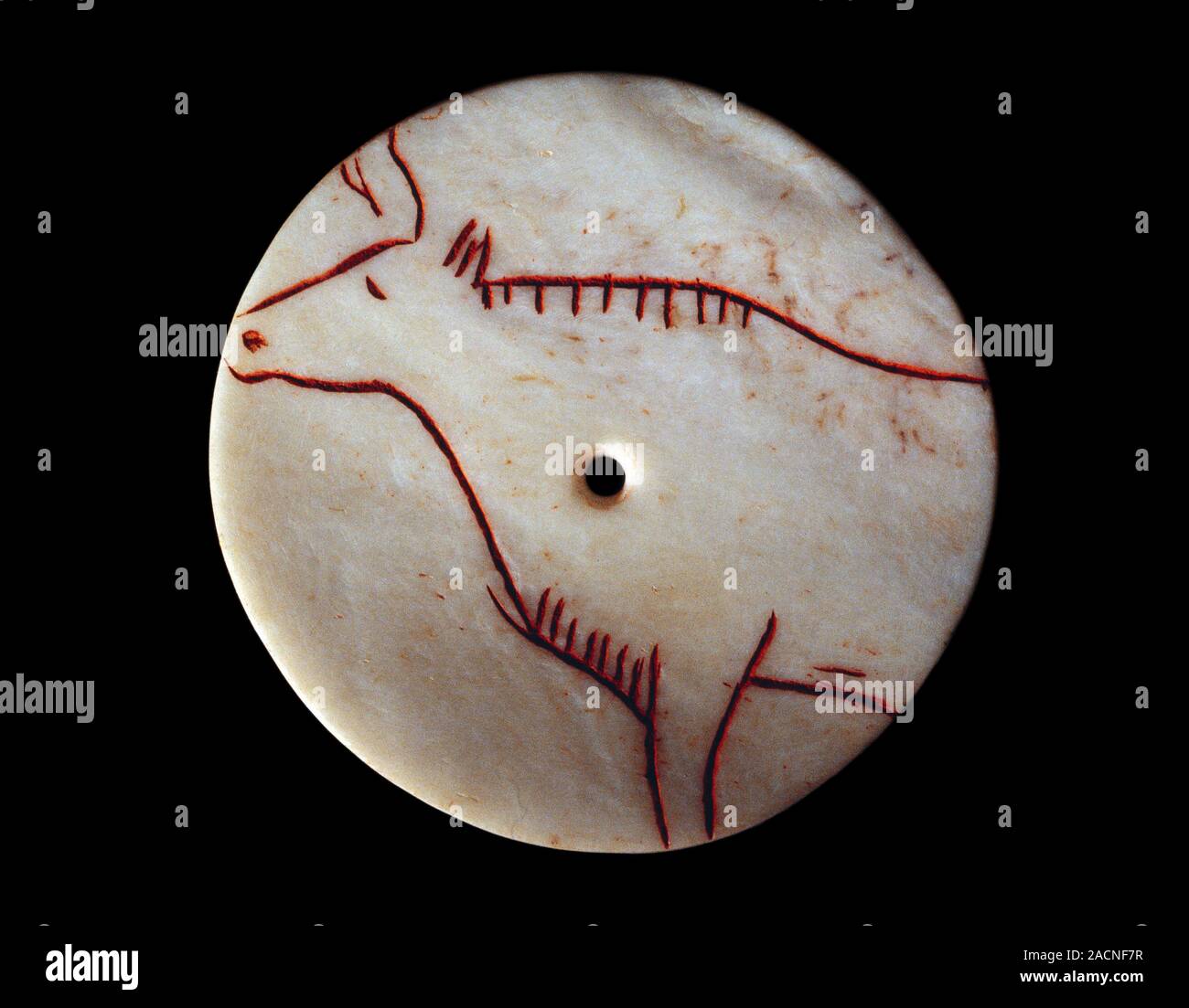 Stone Age (Magdalenian) bone disc. These objects, decorated with ...