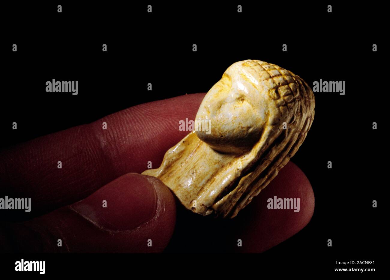 Venus of Brassempouy, Stone Age figurine. This 3.65-centimetre-tall ...