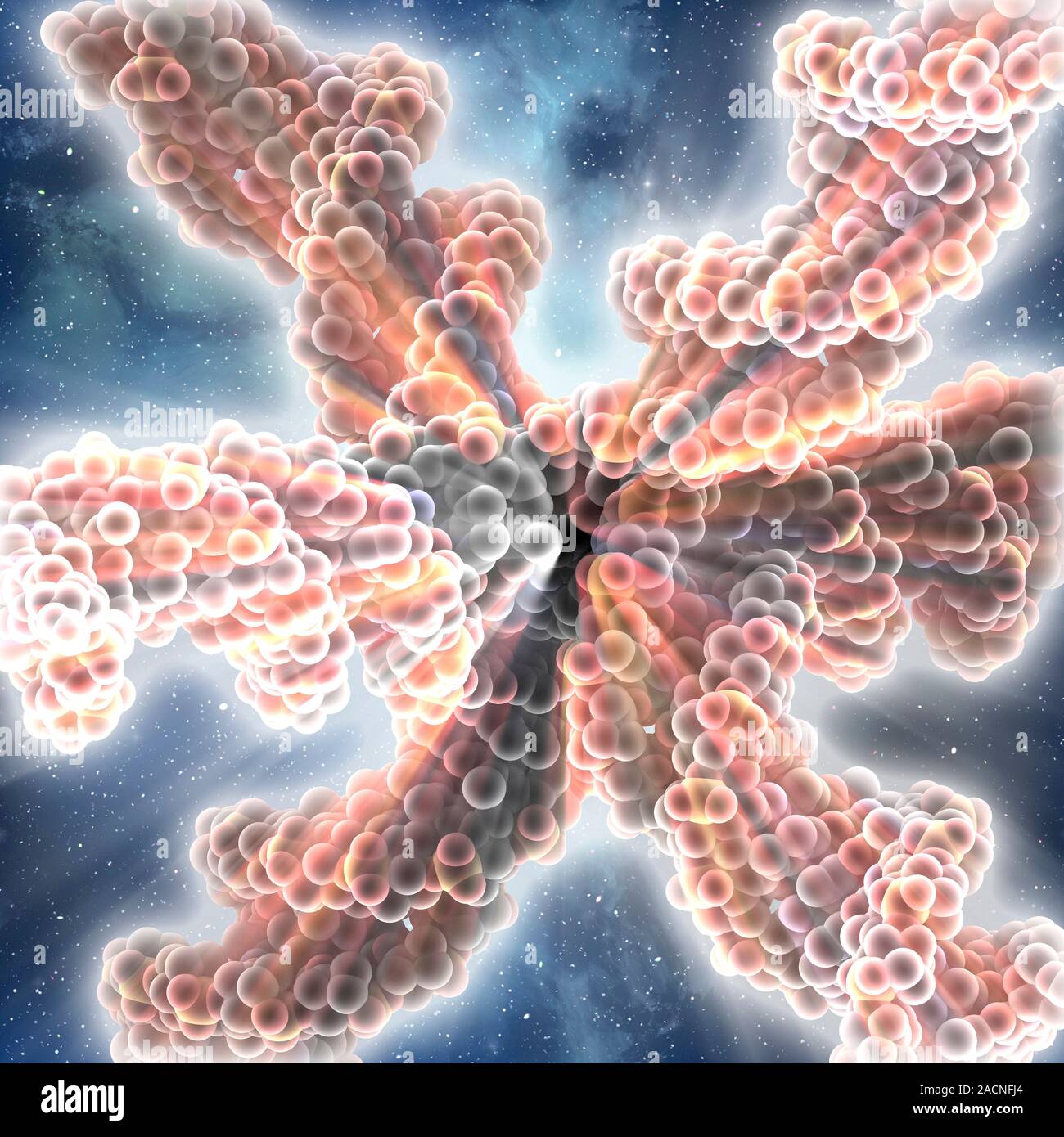 DNA 6-way junction. Computer artwork of a synthetic assemblage of ...