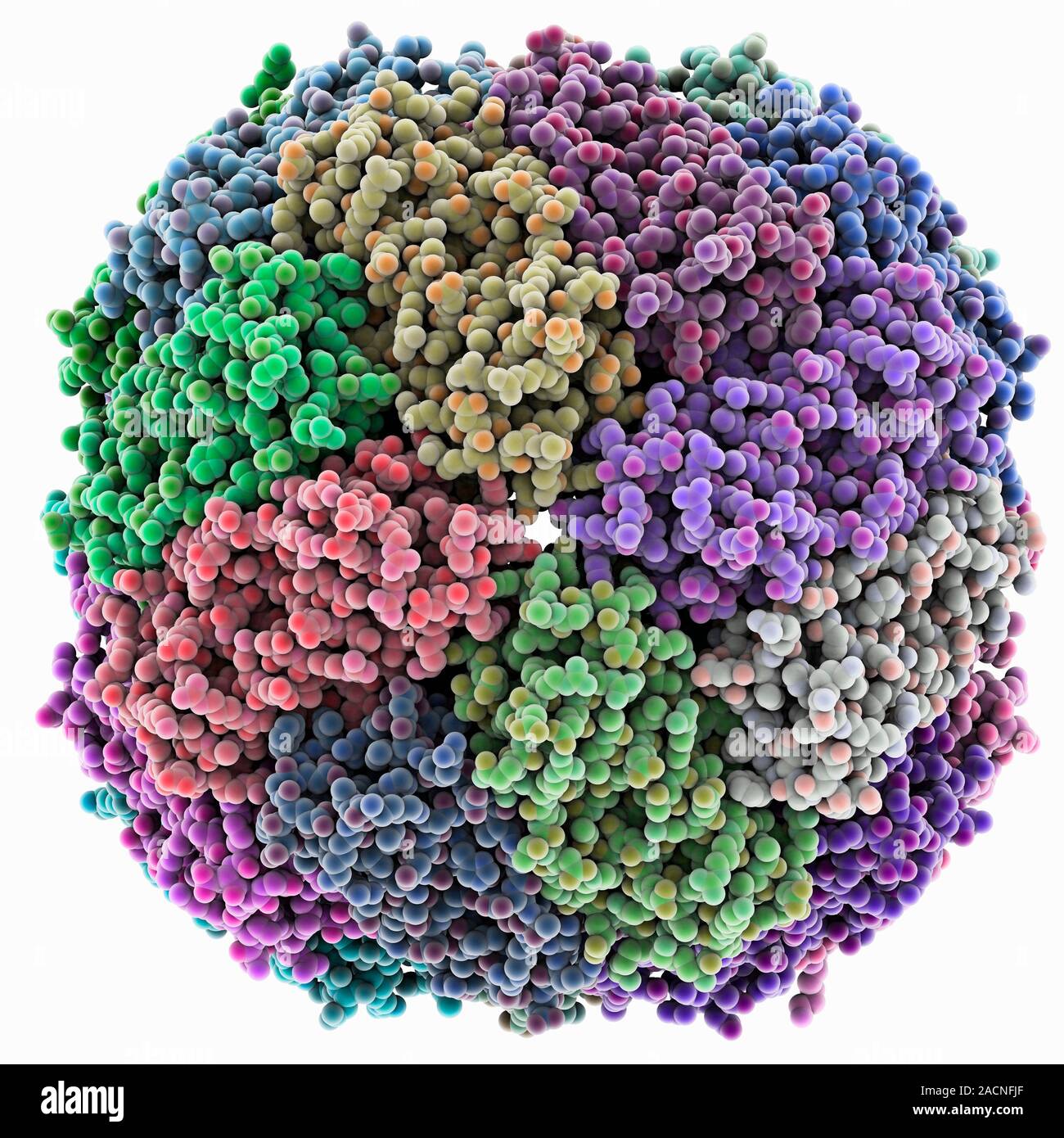 Iron containing protein. Molecular model showing the structure of a ...