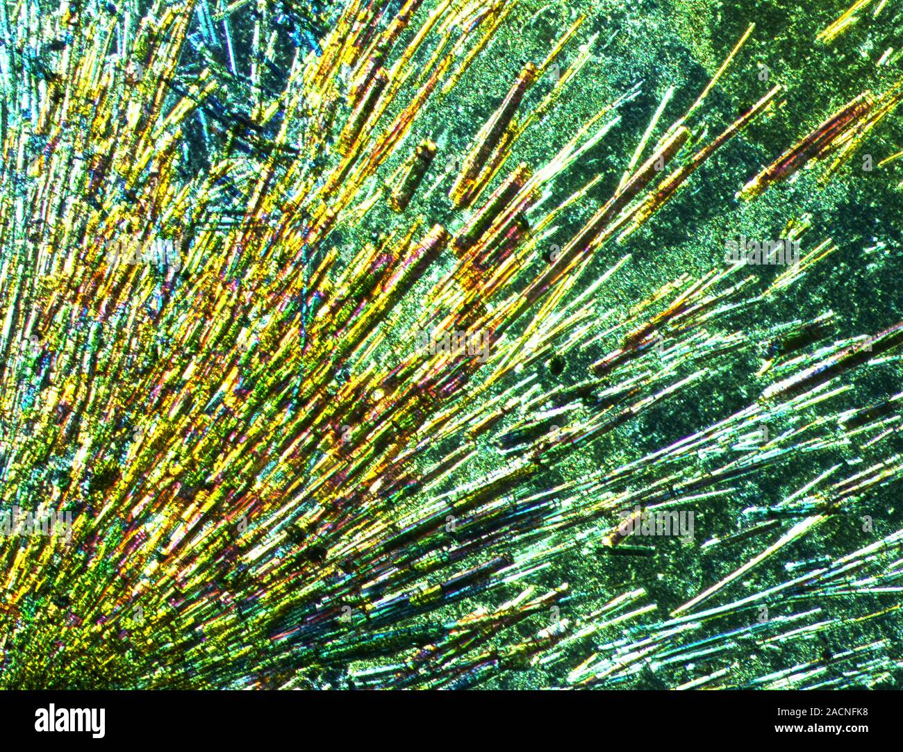 Methamphetamine drug, light micrograph with polarized light ...