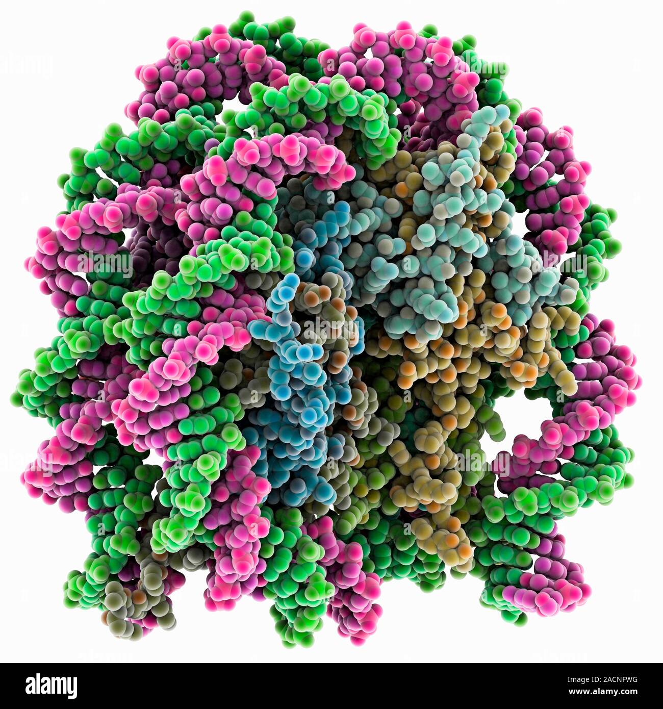 DNA nucleosome. Molecular model of a nucleosome, the fundamental ...