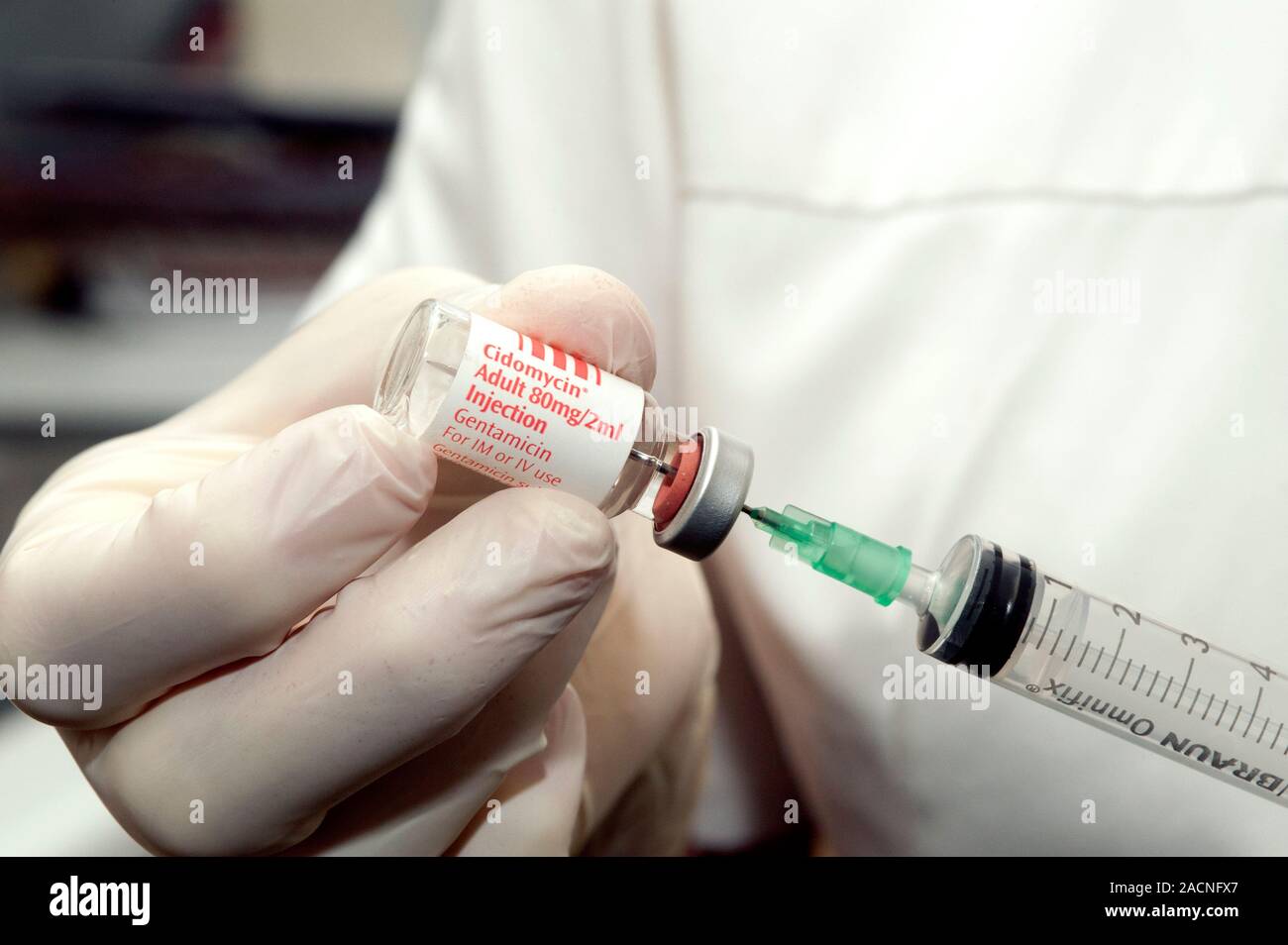 Gentamicin (Cidomycin) antibiotic drug being drawn into a syringe ...