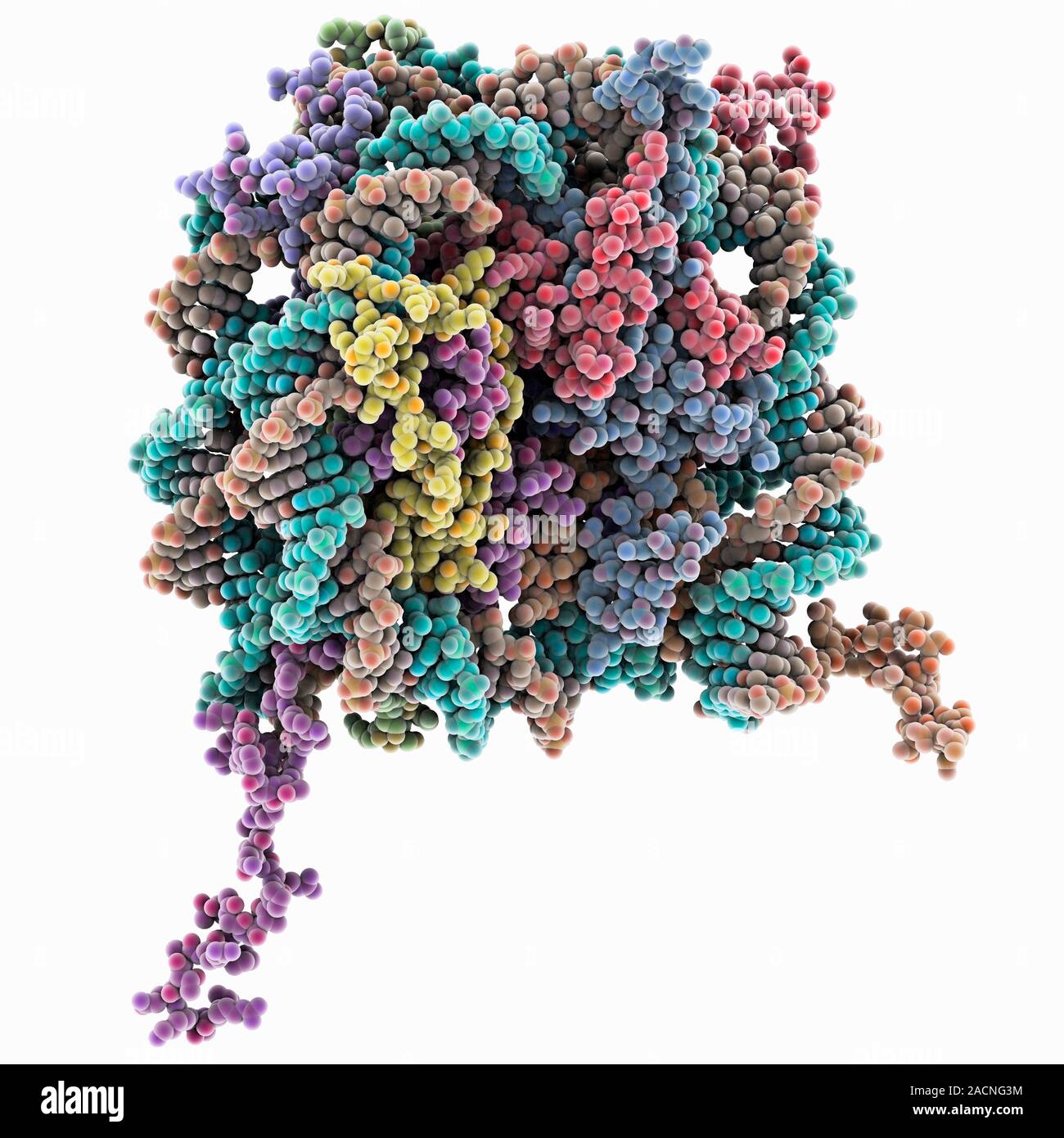 DNA nucleosome. Molecular model of a nucleosome, the fundamental ...