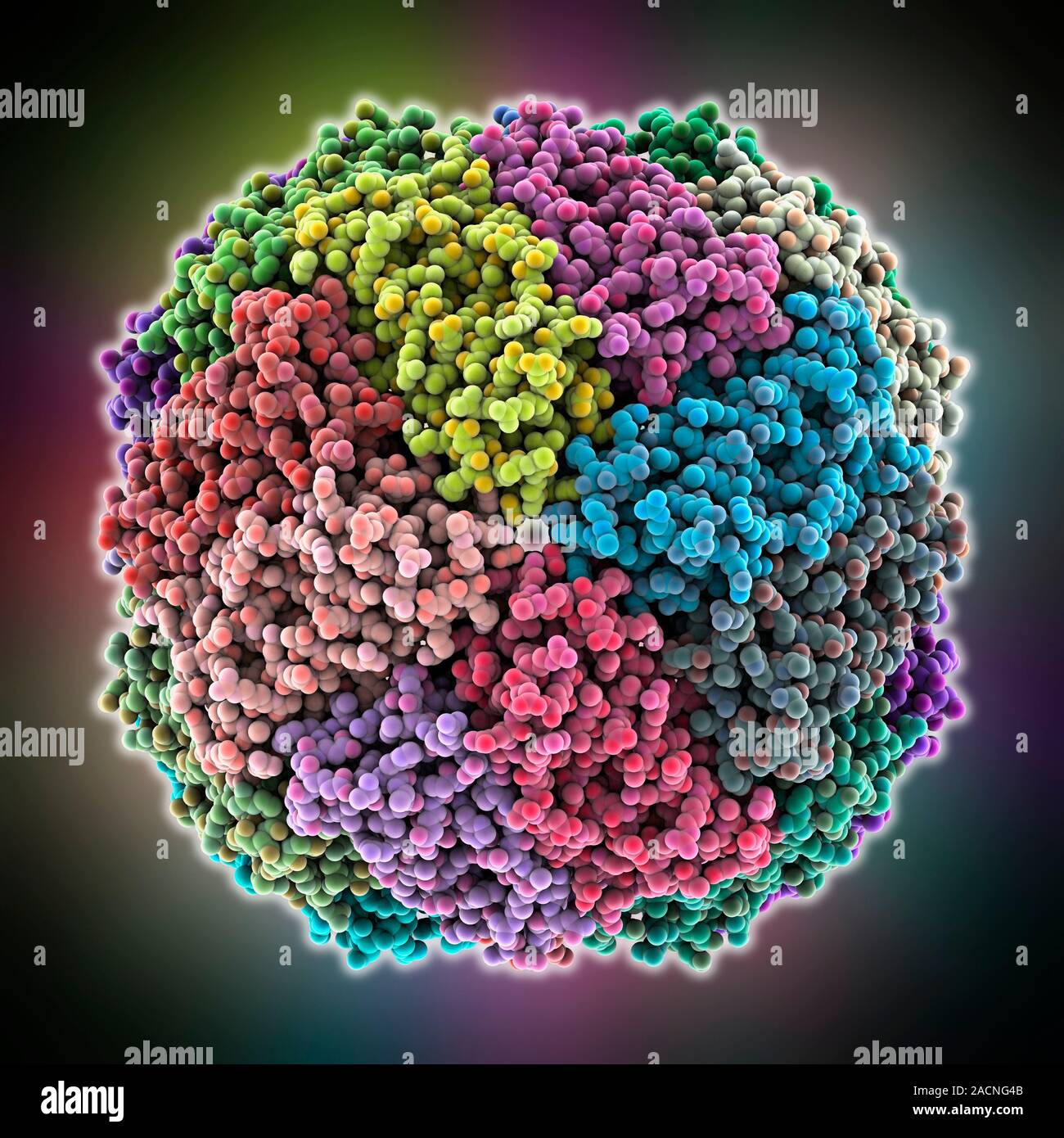 Iron containing protein. Molecular model showing the structure of a ...