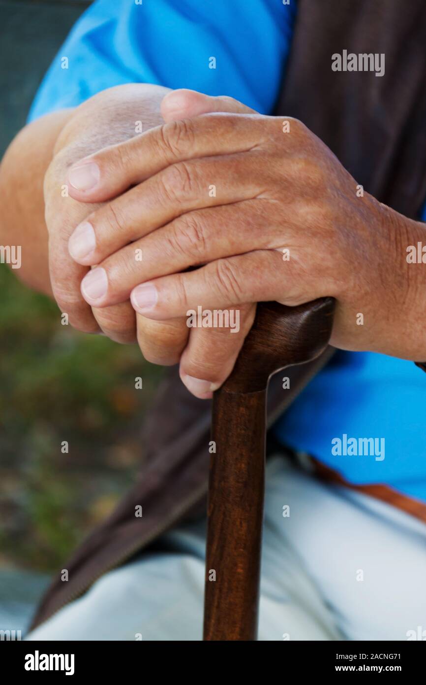 Hand of a man with walking stick Stock Photo - Alamy