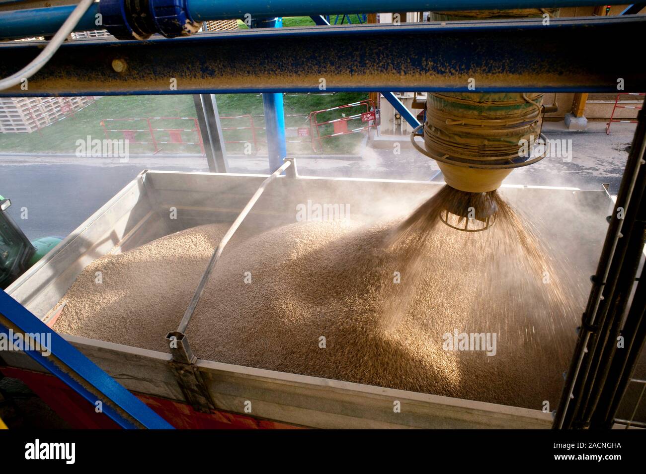 Wood pellet production. Equipment at a factory that produces pellets ...