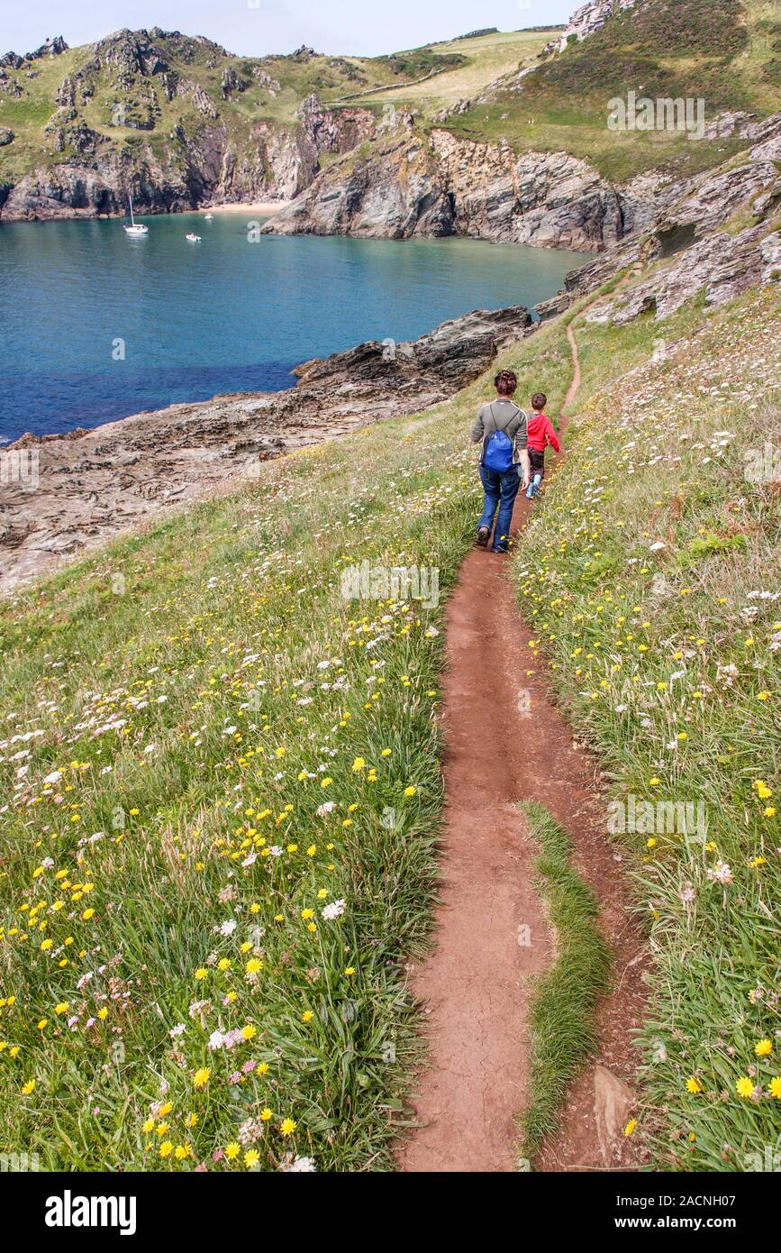 Coastal path. Section of the South West Coast Path, near Salcombe ...