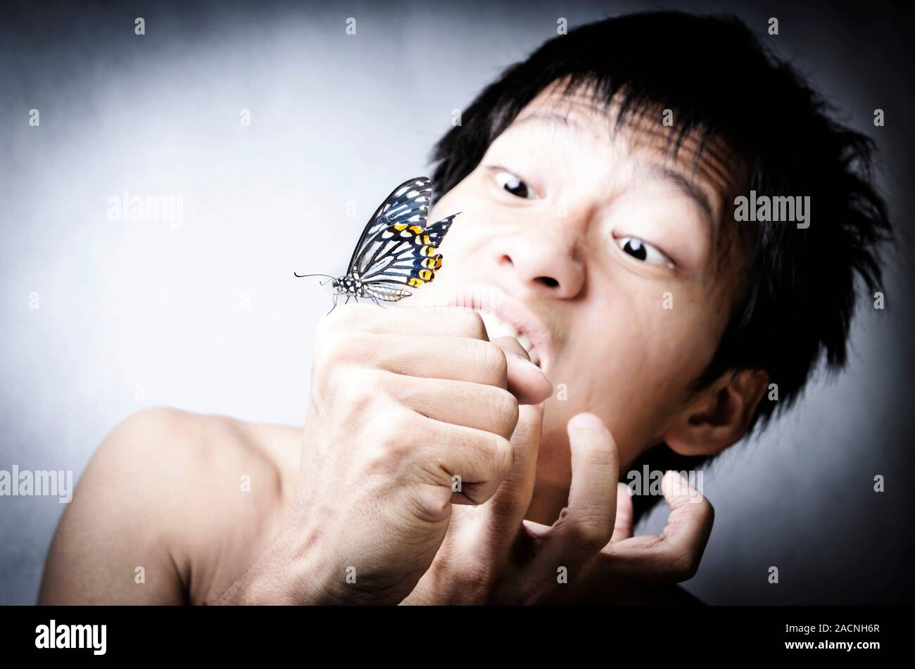 Man holding a butterfly Stock Photo - Alamy